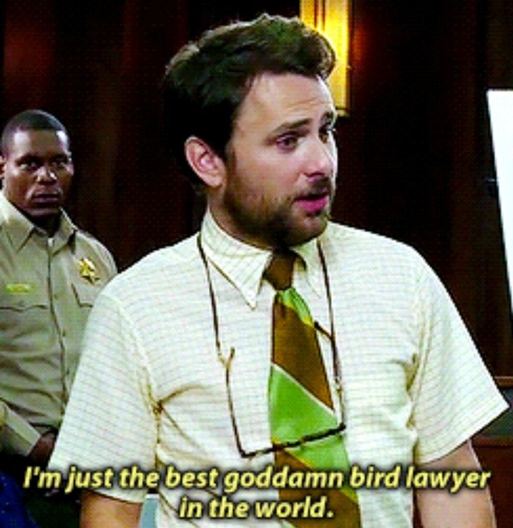 Bird Law: Navigating US Bird Taxidermy Regulations