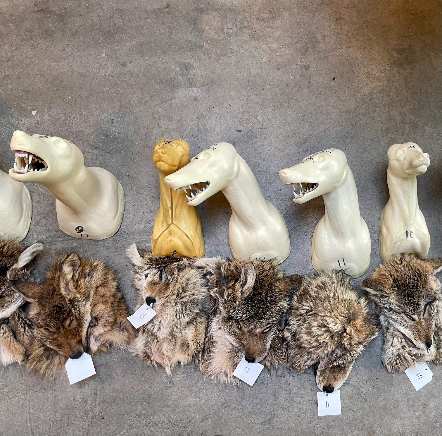 Flock You, Floral Foam: Foam for Taxidermy